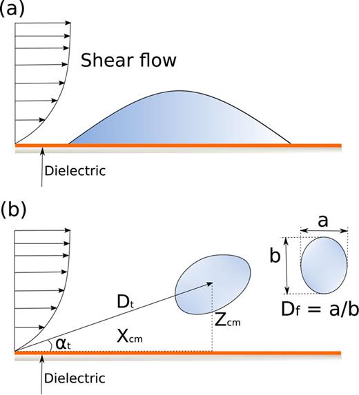 Electrically induced droplet ejection dynamics under shear flow ...