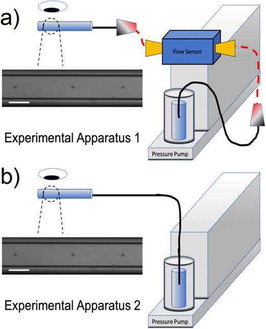 Simultaneous measurement of rheological properties in a microfluidic ...