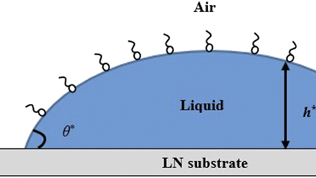 Effect of surfactant and evaporation on the thin liquid film spreading ...