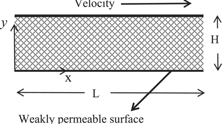 Elastohydrodynamics of a deformable porous packing in a channel ...