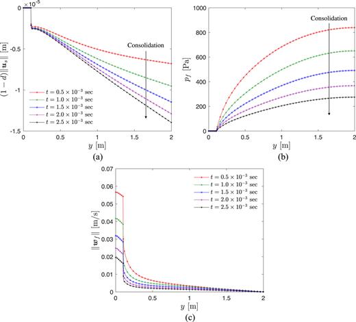 An immersed phase field fracture model for microporomechanics with ...