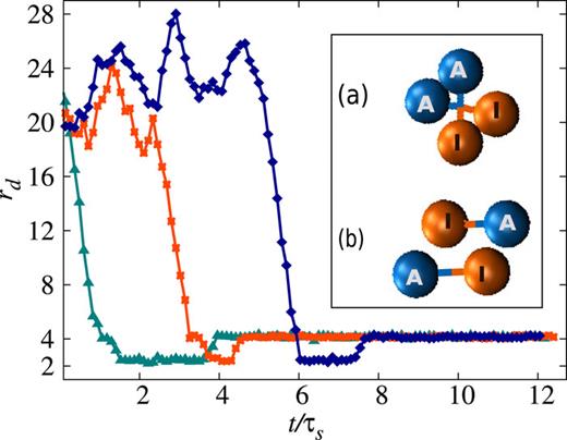 Role of viscoelasticity on the dynamics and aggregation of chemically ...