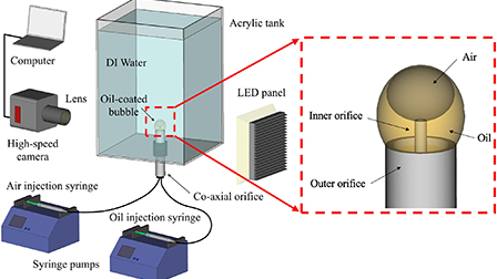 Oil column pinch-off controls the oil fraction of the oil-coated bubble ...