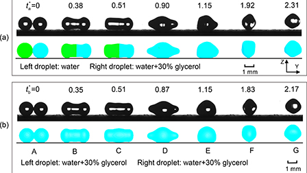 Effects of the surface tension gradient and viscosity on coalescence ...
