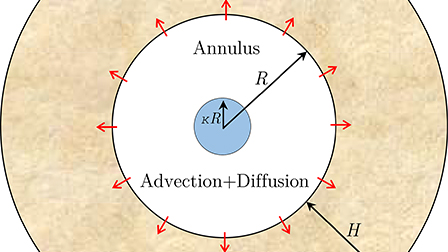 The role of a porous wall on the solute dispersion in a concentric ...