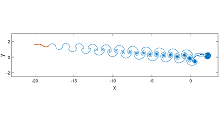A computational model of the swimming dynamics of a fish-like body in ...
