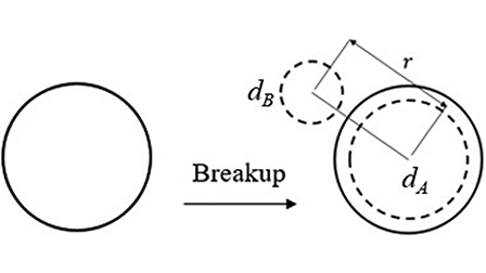Euler–Lagrange study of bubble breakup and coalescence in a turbulent ...