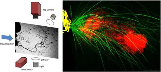 A dynamical overview of droplets in the transmission of respiratory ...