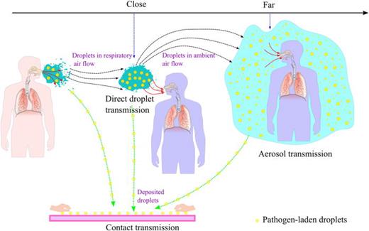A dynamical overview of droplets in the transmission of respiratory ...