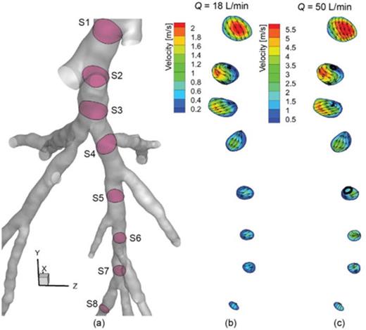 A dynamical overview of droplets in the transmission of respiratory ...