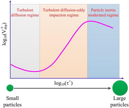 A dynamical overview of droplets in the transmission of respiratory ...