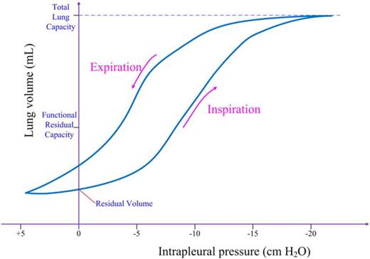 A dynamical overview of droplets in the transmission of respiratory ...