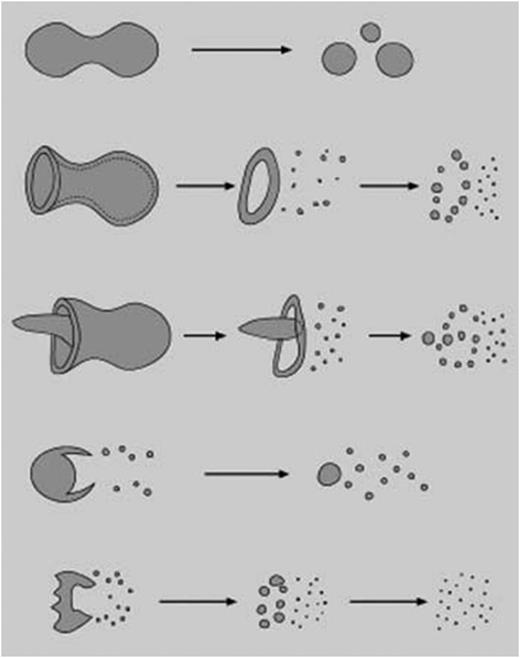 A dynamical overview of droplets in the transmission of respiratory ...