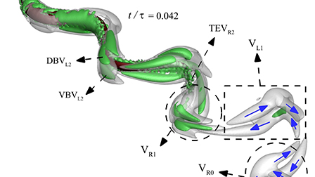 Why do anguilliform swimmers perform undulation with wavelengths ...