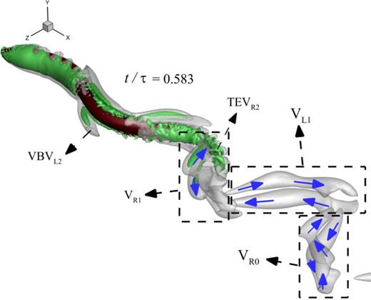 Why do anguilliform swimmers perform undulation with wavelengths ...