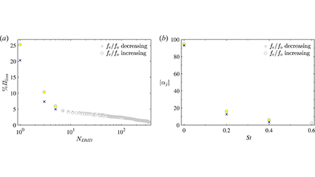 Dynamic mode decomposition based analysis of flow past a transversely ...