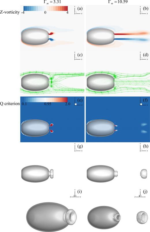 Jet propulsion of a squid-inspired swimmer in the presence of ...
