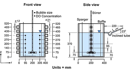 Bubble hydrodynamics and mass transfer in stirred tank with non ...