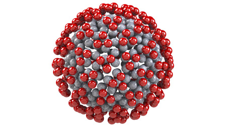 Peplomer bulb shape and coronavirus rotational diffusivity | Physics of ...