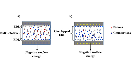 Design and application of ion concentration polarization for ...