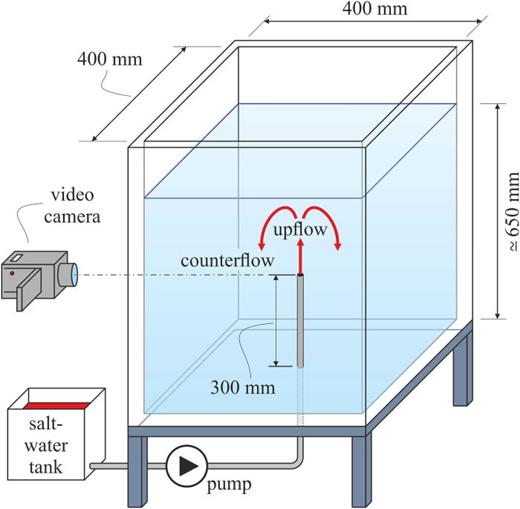 Velocity and density measurements in forced fountains with negative ...