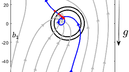 The nature of bubble entrapment in a Lamb–Oseen vortex | Physics of ...