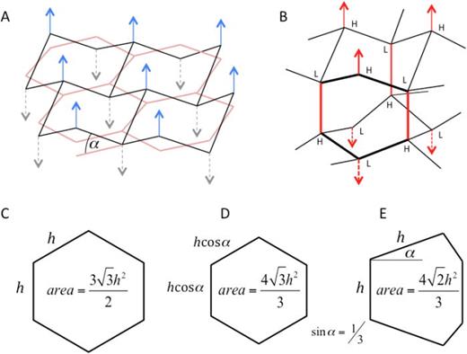 Structural organization of space polymers | Physics of Fluids | AIP ...