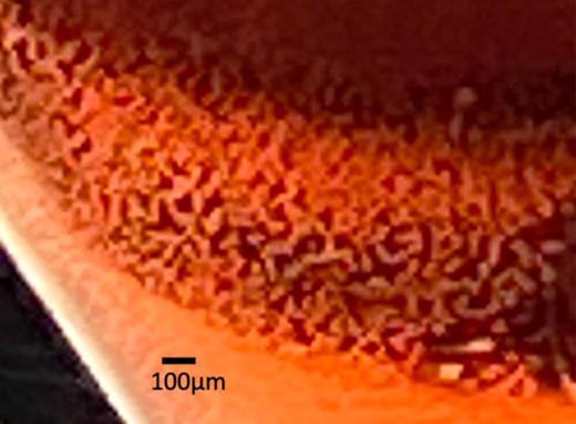 Structural organization of space polymers | Physics of Fluids | AIP ...