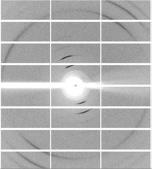 Structural organization of space polymers | Physics of Fluids | AIP ...