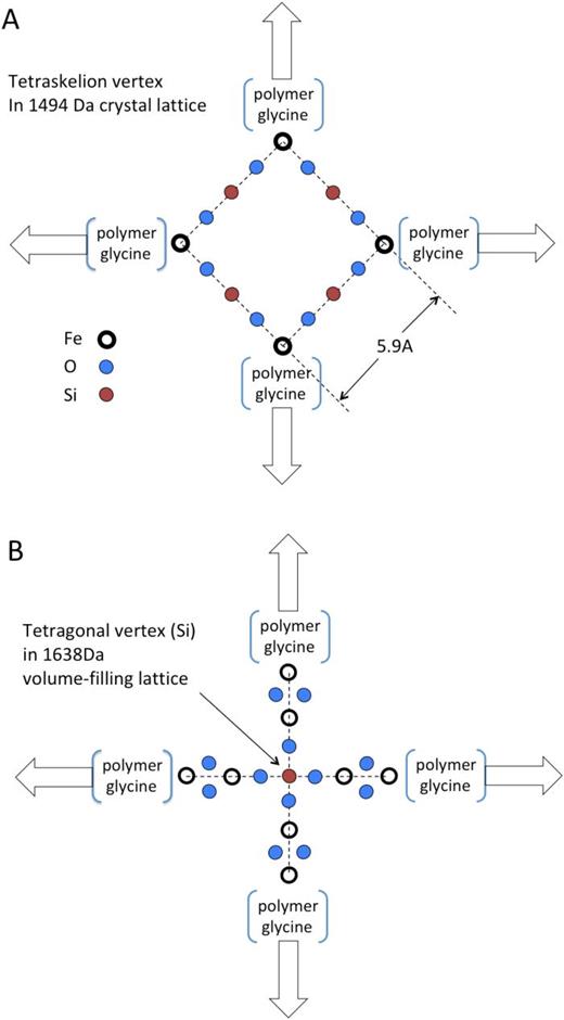Structural organization of space polymers | Physics of Fluids | AIP ...