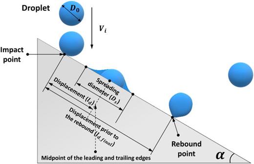 The post-impact dynamics of drop rebound on inclined hydrophobic ...