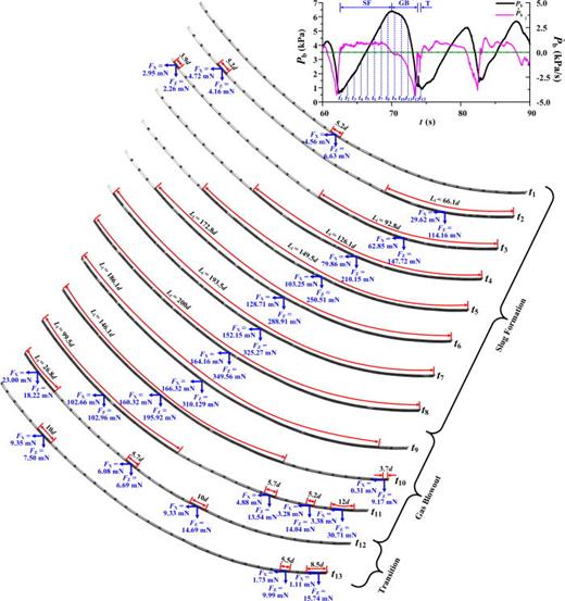 Severe slug flow-induced nonlinear dynamic behavior of a flexible ...