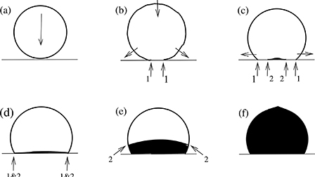 Solidification and dynamic wetting: A unified modeling framework | Physics of Fluids | AIP ...
