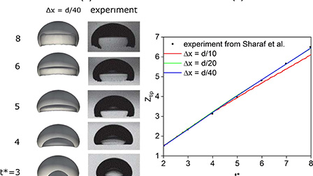 The wobbling motion of single and two inline bubbles rising in ...