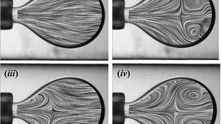 Vortex flow evolution in a growing microdroplet during co-flow in ...