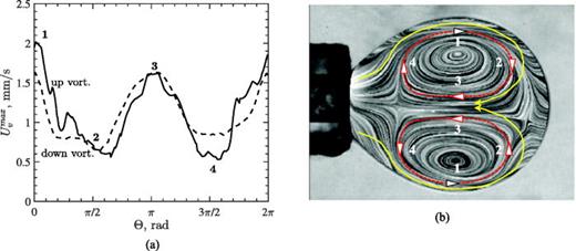 Vortex flow evolution in a growing microdroplet during co-flow in ...