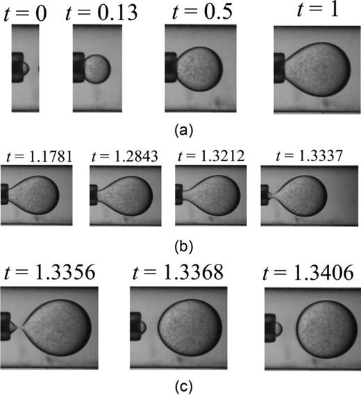 Vortex flow evolution in a growing microdroplet during co-flow in ...
