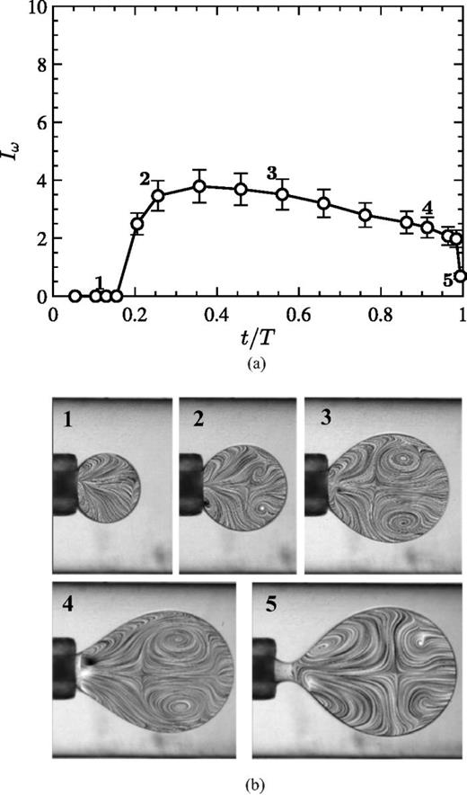 Vortex flow evolution in a growing microdroplet during co-flow in ...