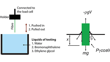 Volume 34 Issue 1 | Physics of Fluids | AIP Publishing