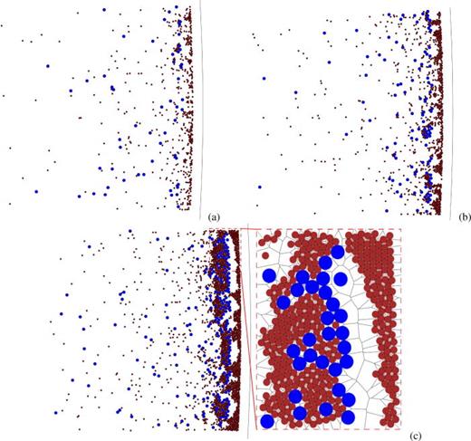 Monte Carlo simulation of particle size separation in evaporating bi ...