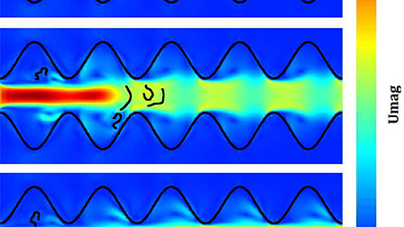 Volume 34 Issue 1 | Physics of Fluids | AIP Publishing