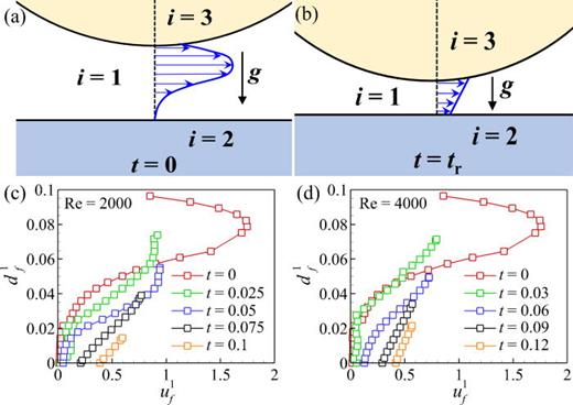 Single and double toroid formation during oil droplet impact on an air ...