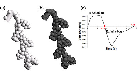 Computational fluid dynamics and machine learning algorithms analysis of striking particle ...