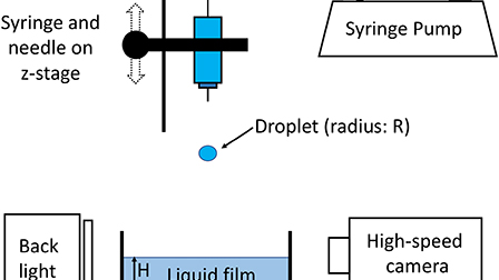 Droplet impact on liquid films: Bouncing-to-merging transitions for two ...