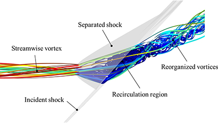 Structural characteristics of the strong interaction between oblique ...