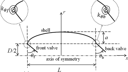 Feasibility of hydrodynamically activated valves for salp-like ...