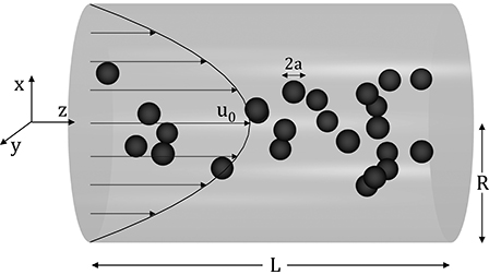 Volume 34 Issue 11 | Physics of Fluids | AIP Publishing