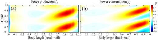 Effects of phase difference on hydrodynamic interactions and wake ...