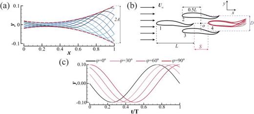 Effects of phase difference on hydrodynamic interactions and wake ...