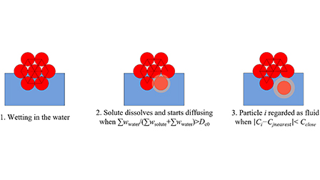Dissolution characteristics of solutes with different shapes using the ...